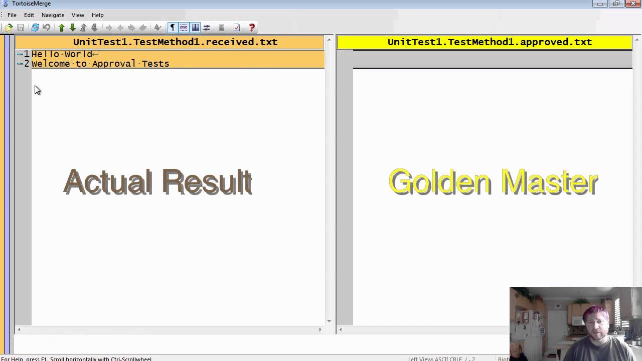 Using Approvaltests In Net With Mstest